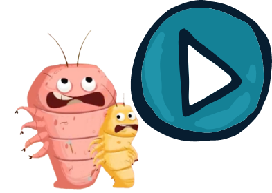 Treatment With XDEMVY® | XDEMVY® (lotilaner ophthalmic solution) 0.25%